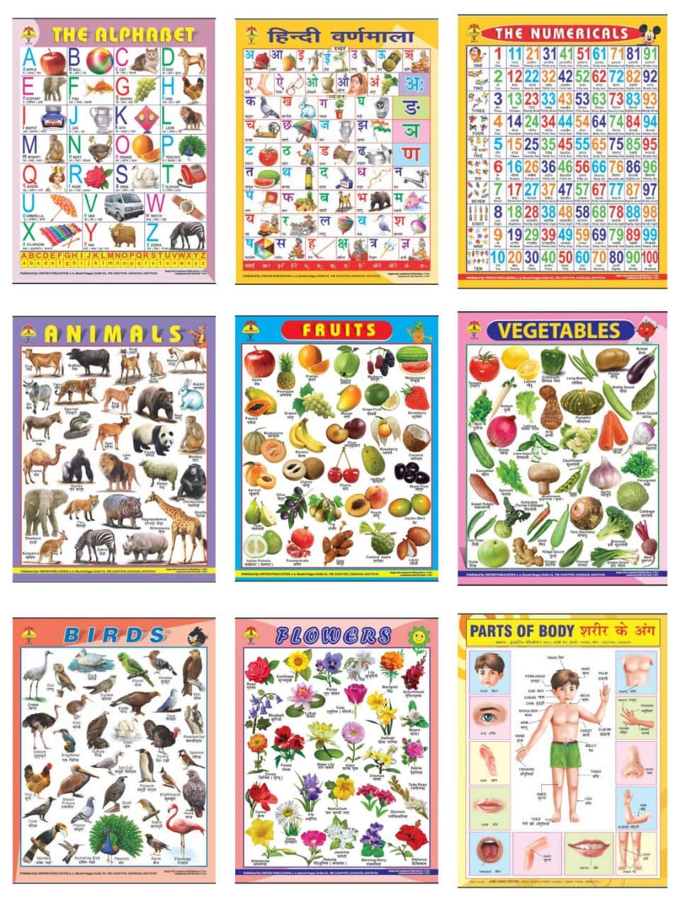 Buy KIDIVO Educational Early Learning Card board Wall Charts Set for ...