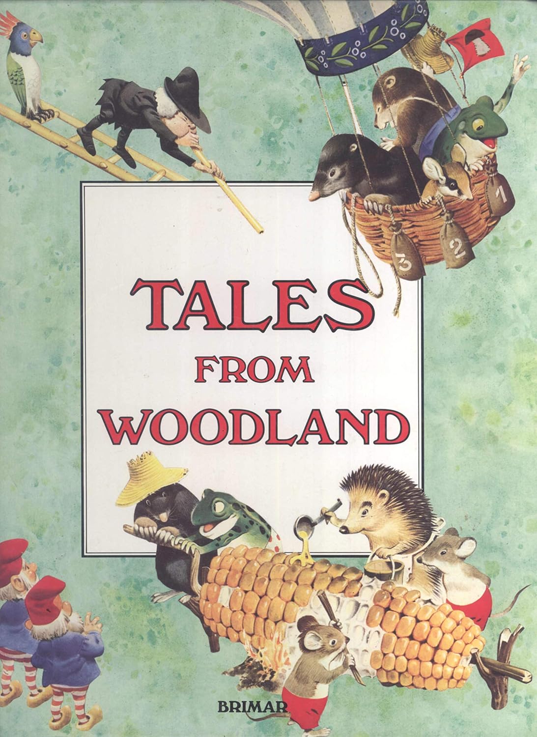 Tales from Woodland: Dami Editore, Tony Wolf: 9782920845701: Amazon.com ...