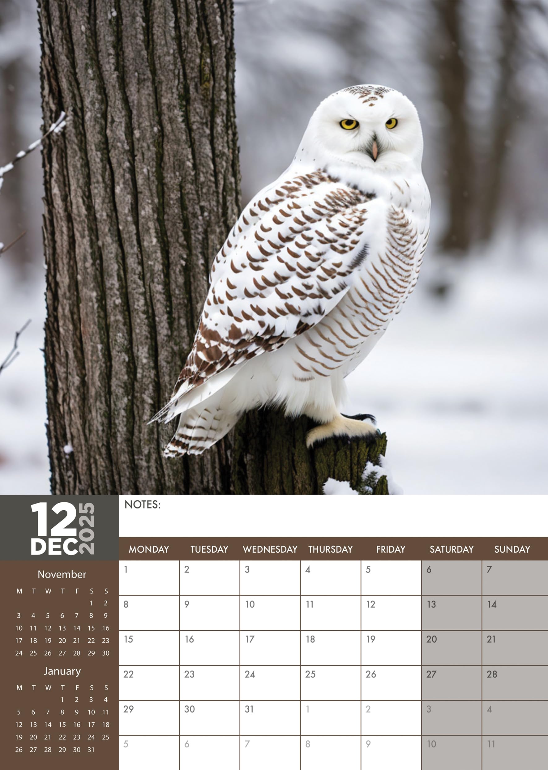 Owls 2025 – A3 Size Wirobound Calendar – BigaMart