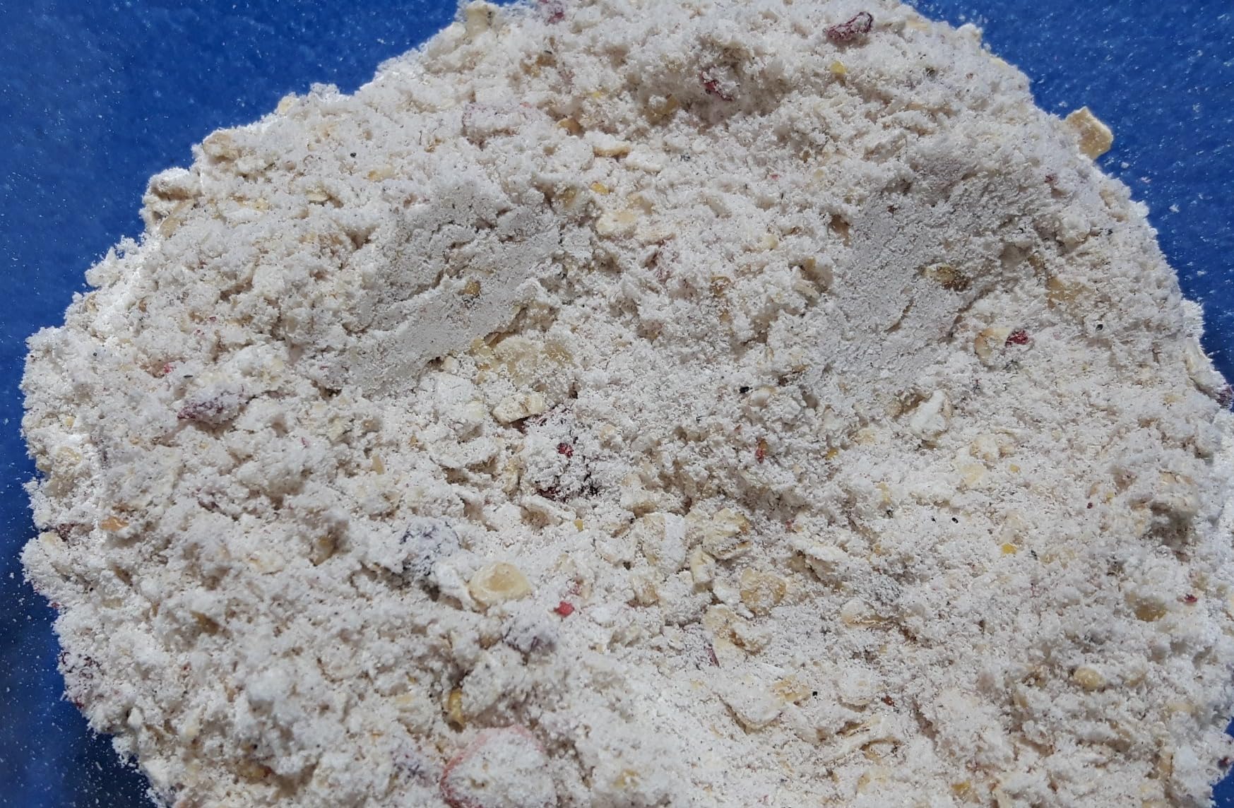 Cameo Vitalis Porridge Gusto Frutti Rossi con Fiocchi Integrali di ...