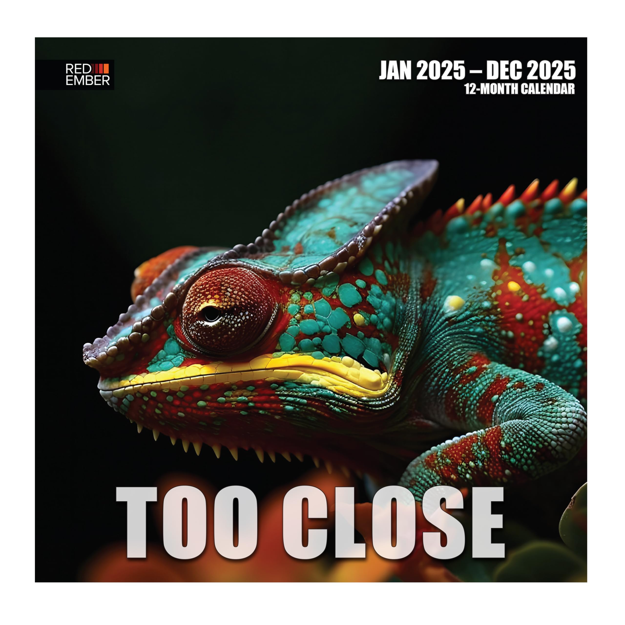Amazon.com: RED EMBER Too Close 2025 Hangable Monthly Wall Calendar ...