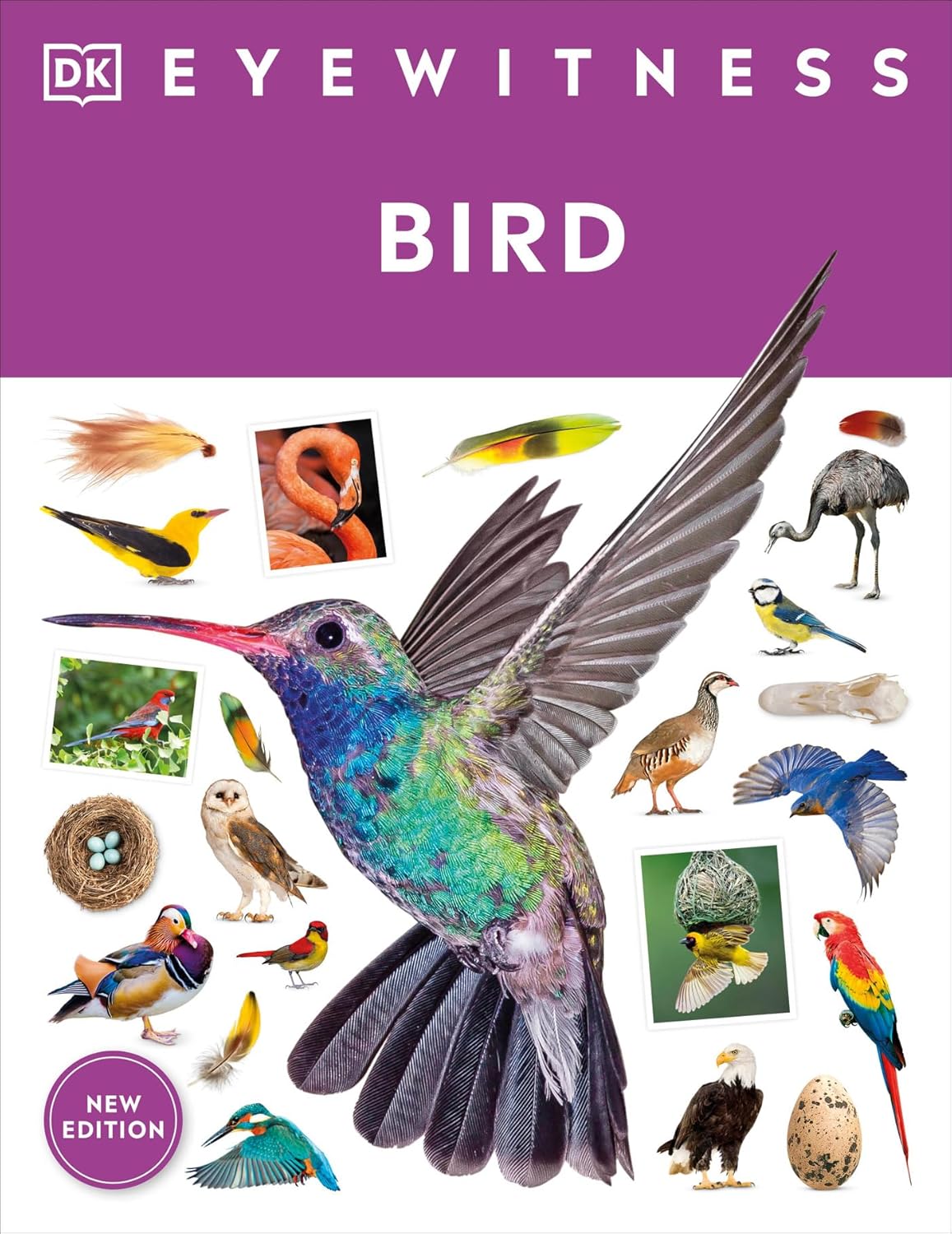 Eyewitness Bird (DK Eyewitness) - Kindle edition by DK. Children Kindle ...