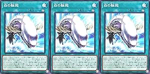 Amazon.co.jp: 【3枚セット】 遊戯王 PHNI-JP058 白の輪廻 ノーマル N ファントム・ナイトメア ホワイトリンカーネイション : おもちゃ