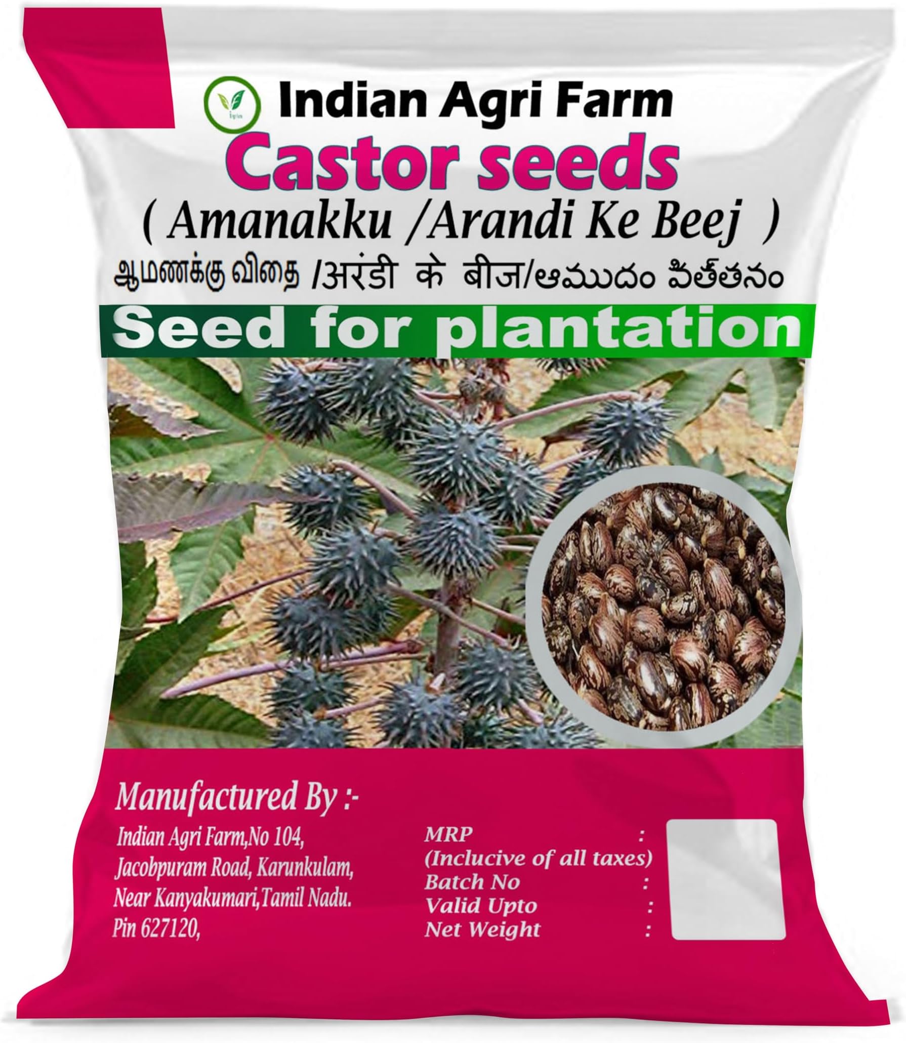 Pmw - Castor Seeds - Castor Oil Seed - Ricinus Communis - Arandi Ke ...