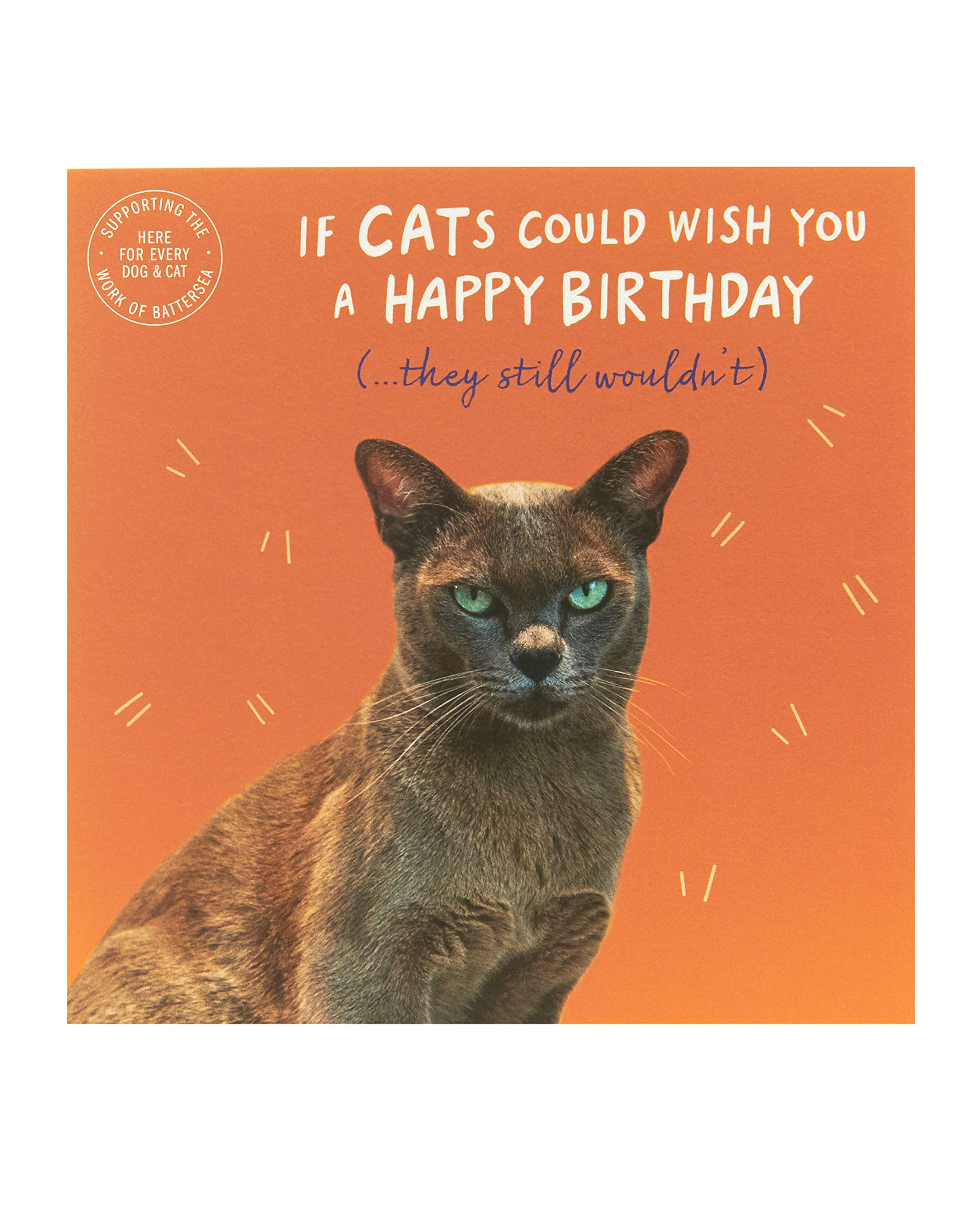 Buy Battersea Cats and Dogs - Happy Birthday from the Cat - Cat ...