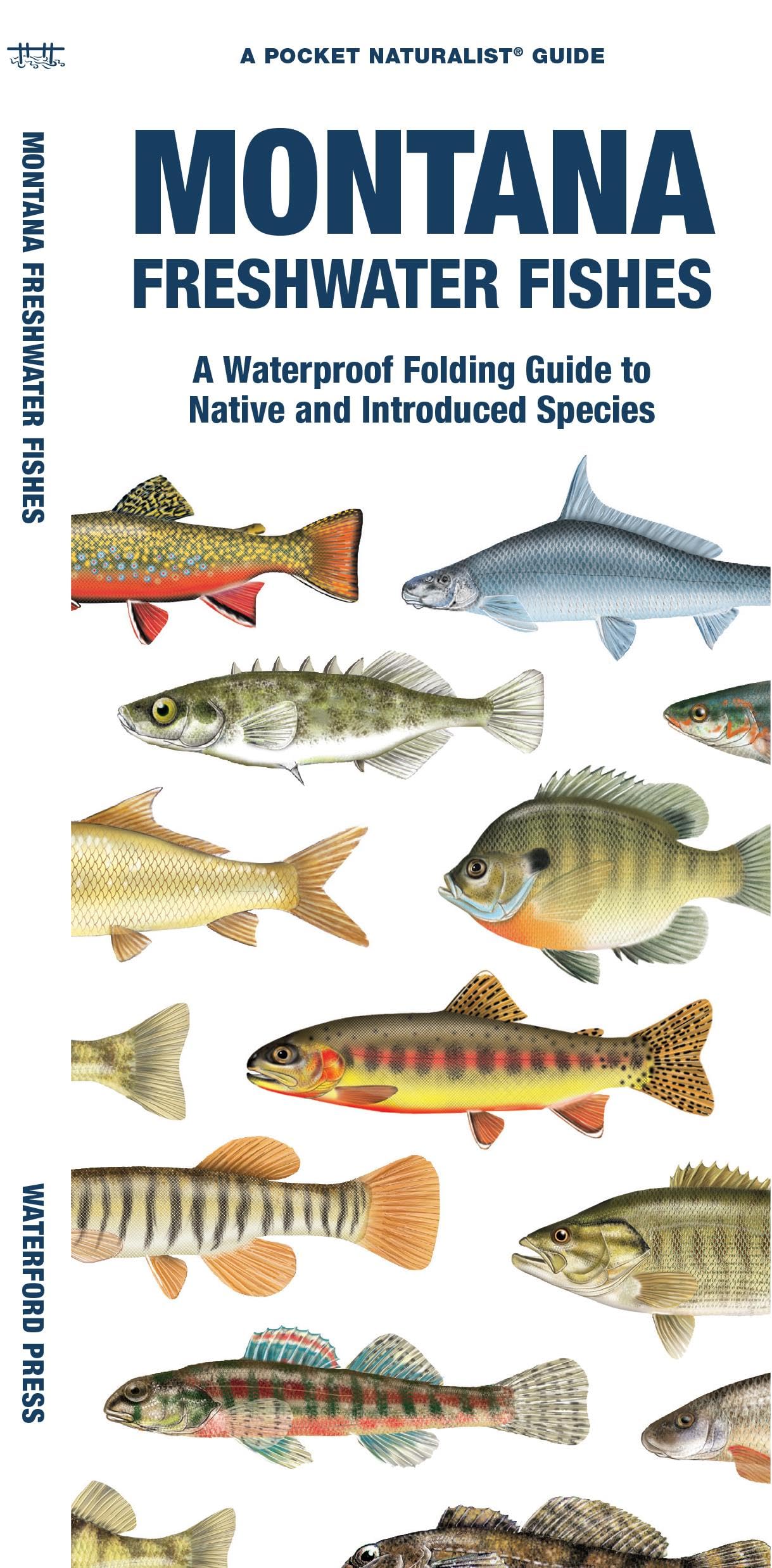 Montana Freshwater Fishes: A Waterproof Folding Guide to Native and ...