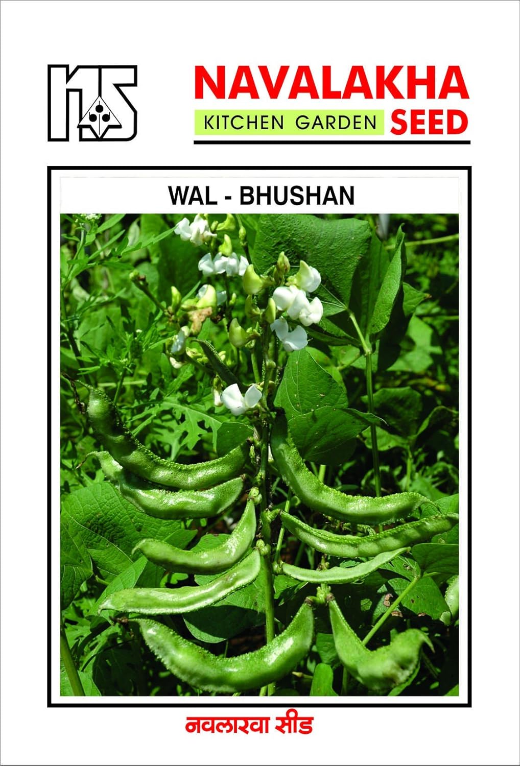 Buy Wal Bhushan (Ghevada) seeds 500gm - Navlakha Online at Low Prices ...