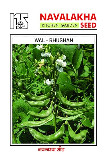 Buy Wal Bhushan (Ghevada) seeds 500gm - Navlakha Online at Low Prices ...