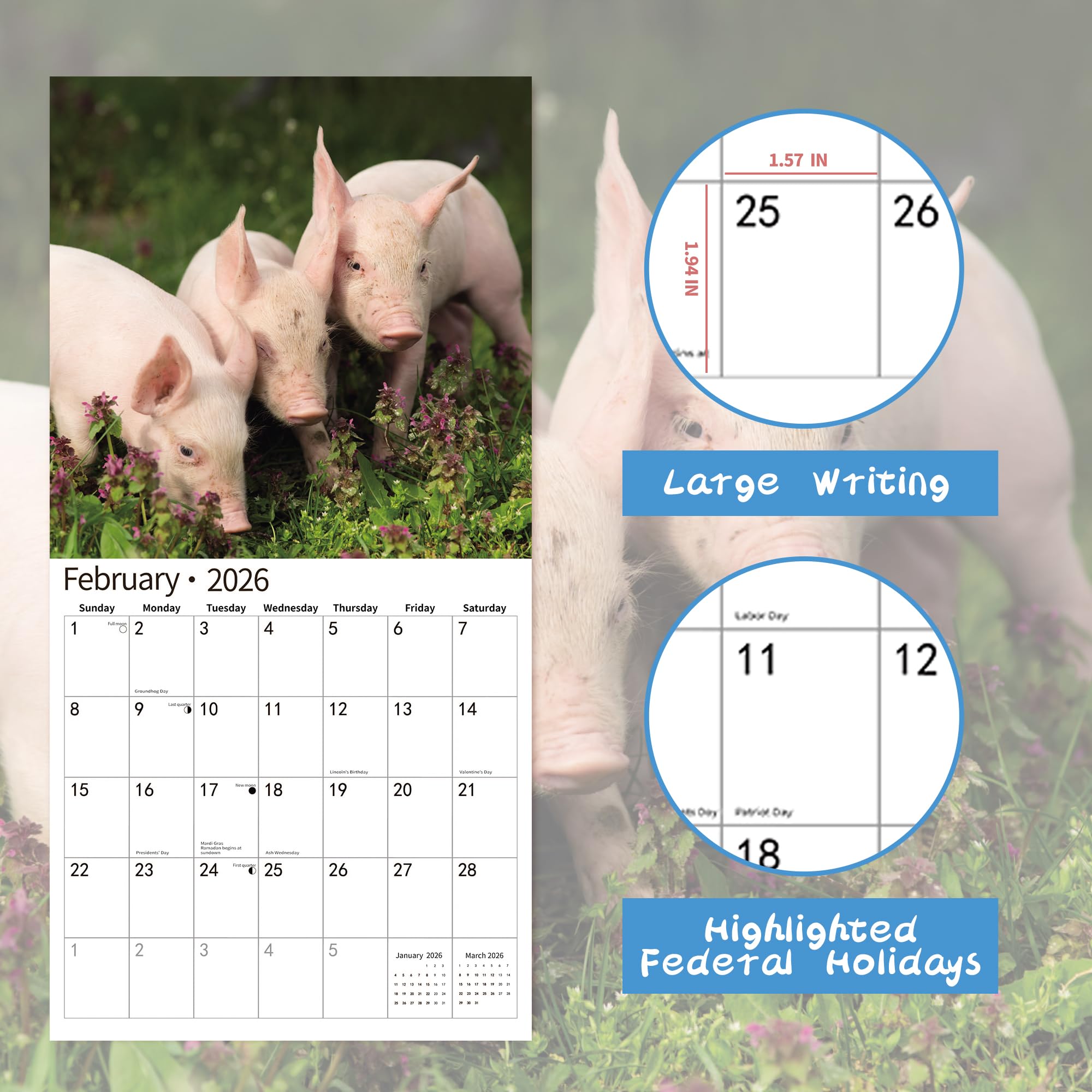 Snapklik.com : 2026 Wall Calendar,Calendar 2026, November 2025 ...