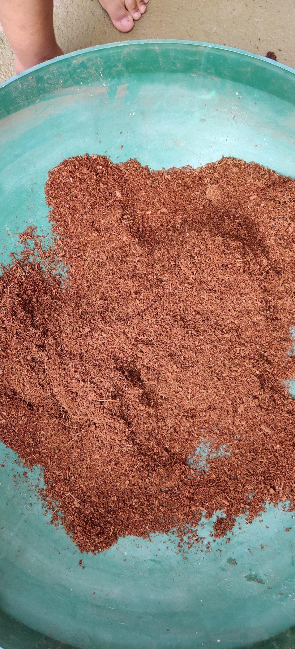 Bio Bloom C - 2 Pack - Anaerobic Compost Maker Powder - Each 1kg Pack ...