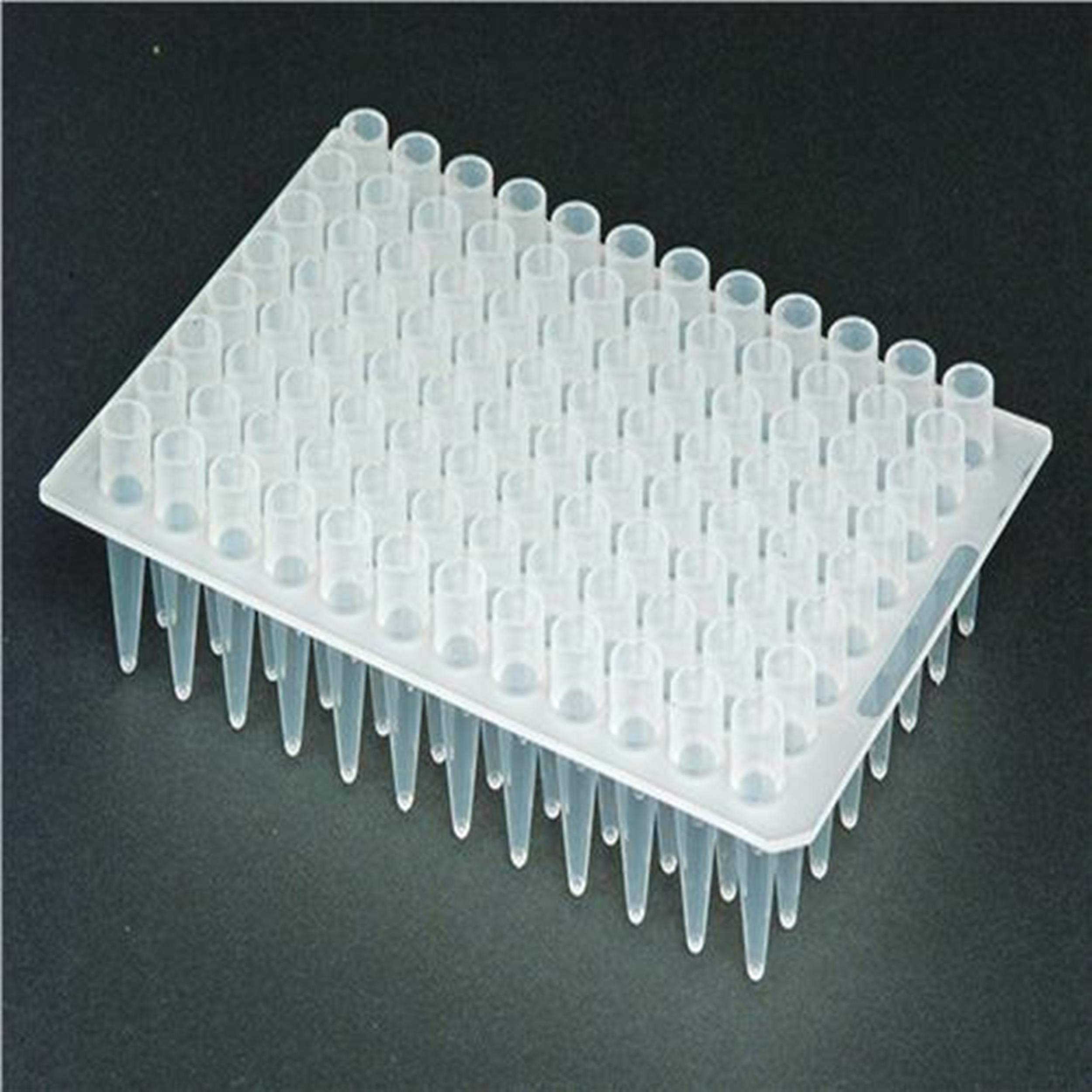 Axygen PCR-96-MB-C Non-Skirted 96-Well x 300 microliter PCR Microplate ...