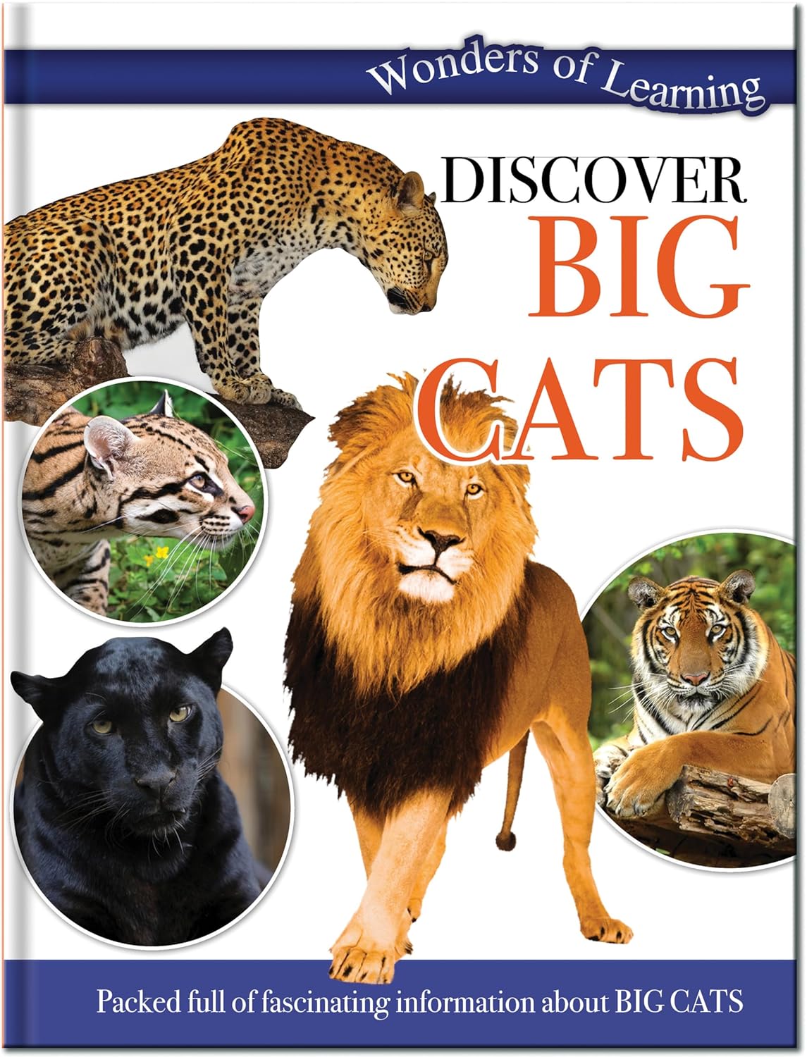 Wonders of Learning: Discover Big Cats: npp: 9781783730889: Amazon.com ...