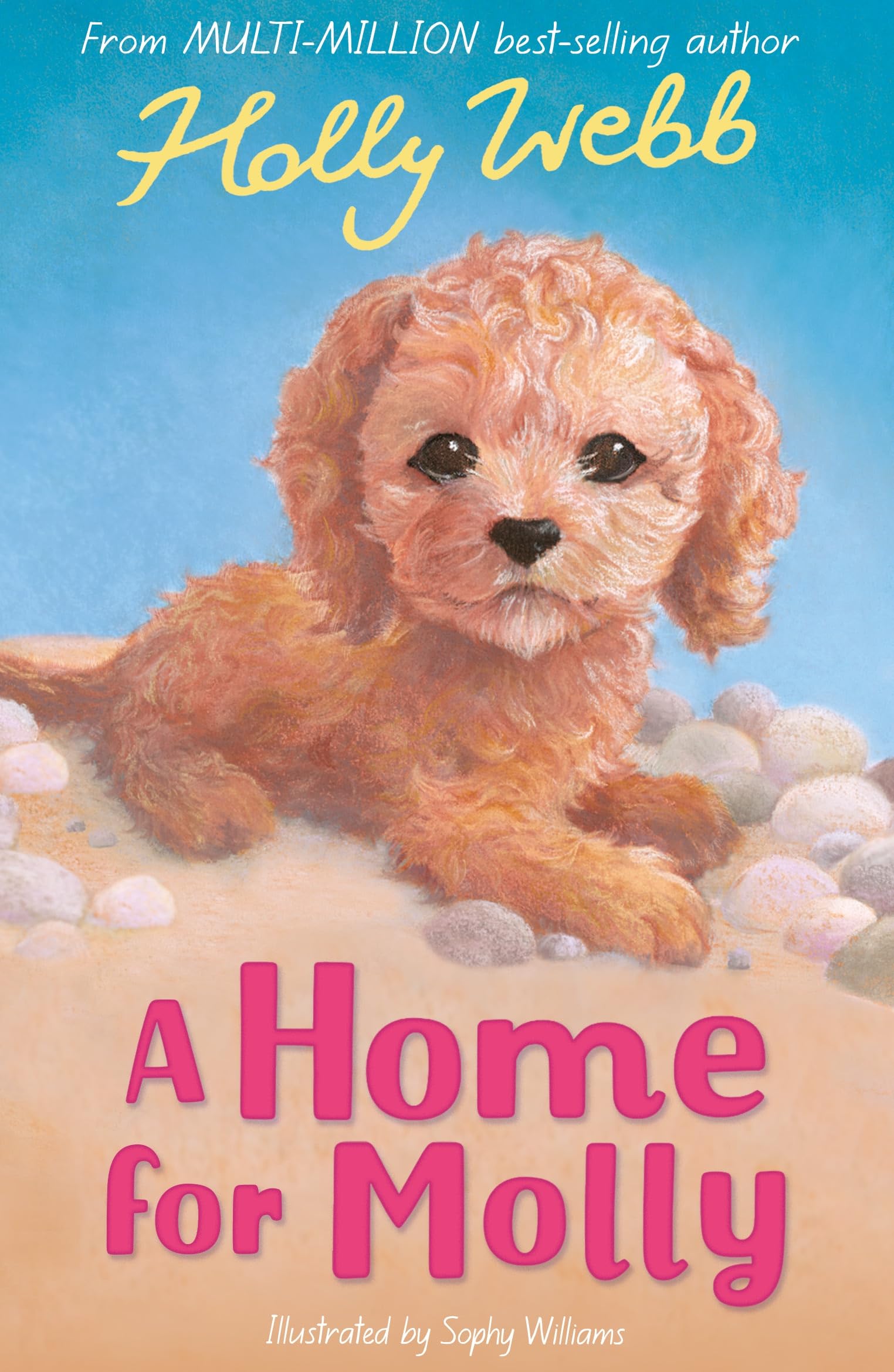 Animal Stories A Home For Molly: Holly Webb: 9781847155986: Amazon.com ...