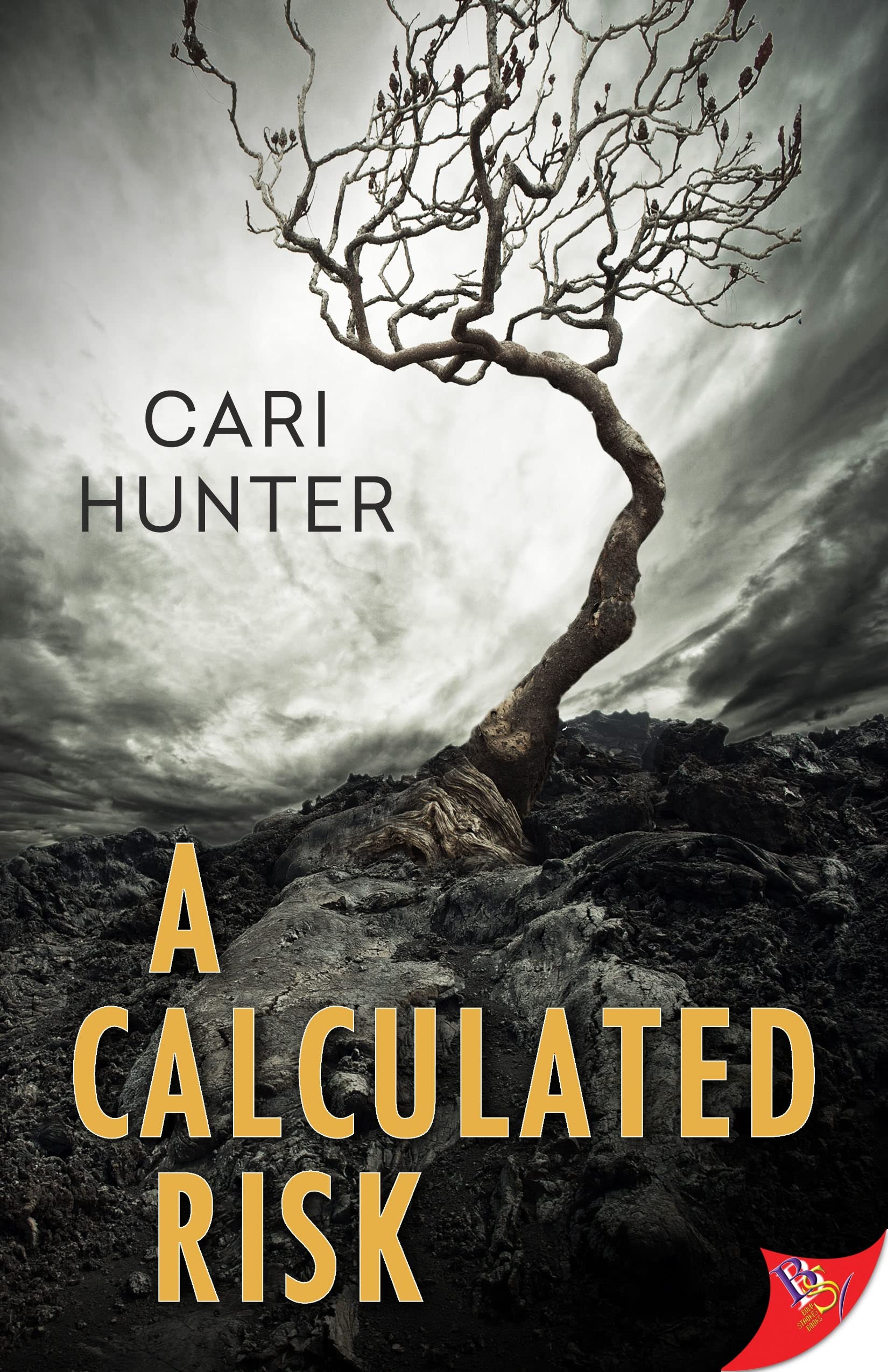 A Calculated Risk: Hunter, Cari: 9781636794778: Amazon.com: Books