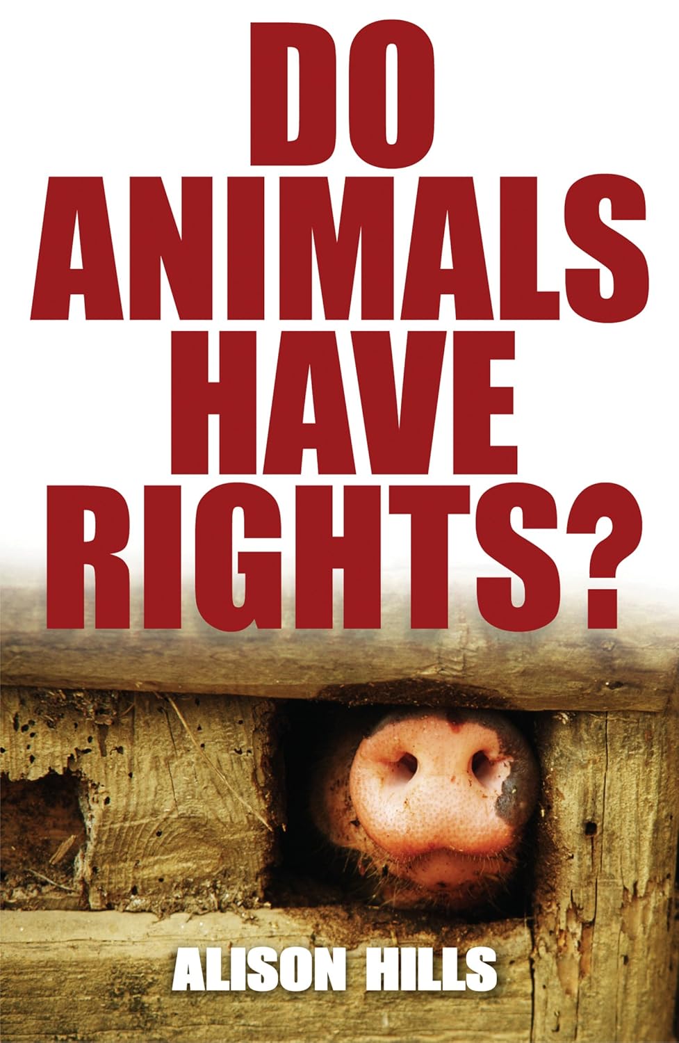 Do Animals Have Rights?: Hills, Alison: 9781840466232: Amazon.com: Books