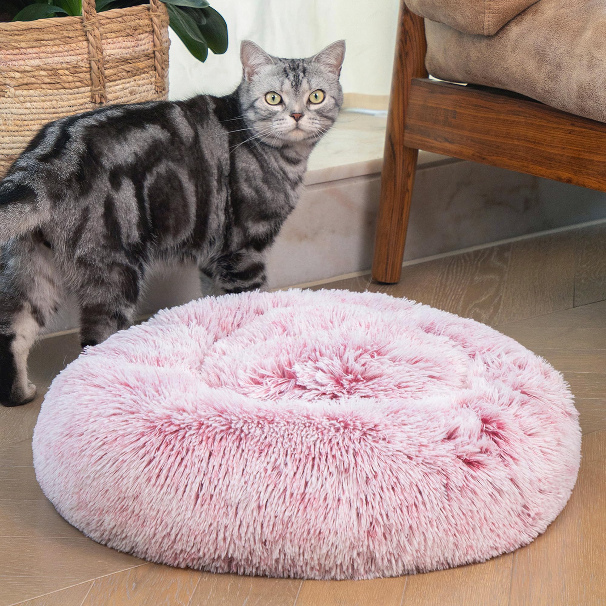 Cat Bed for Indoor Cat, Calming Anti Anxiety Donut Cat Bed Fluffy Faux ...