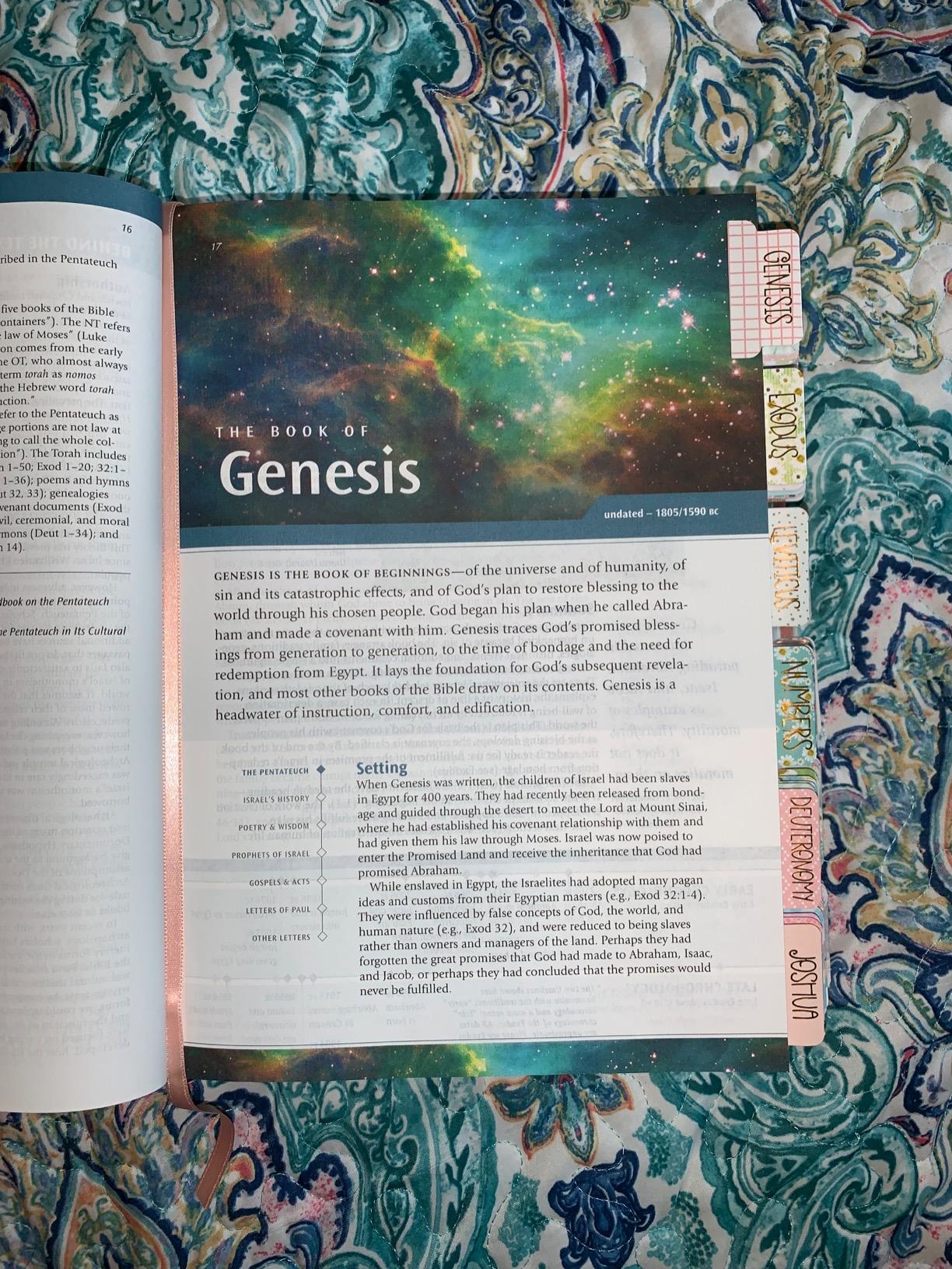 Illustrated Study Bible NLT Deluxe, Deluxe Linen Edition (Hardcover ...