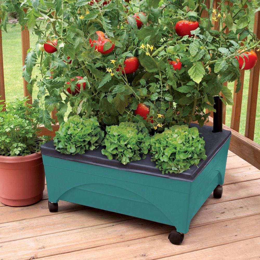 Snapklik.com : Emsco Group Little Pickers Raised Bed Childrens Grow Box ...