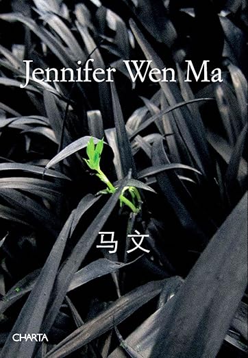 Jennifer Wen Ma : Bush, Sarah, Weiping, Dai, Ma, Cindy: Amazon.co.za: Books