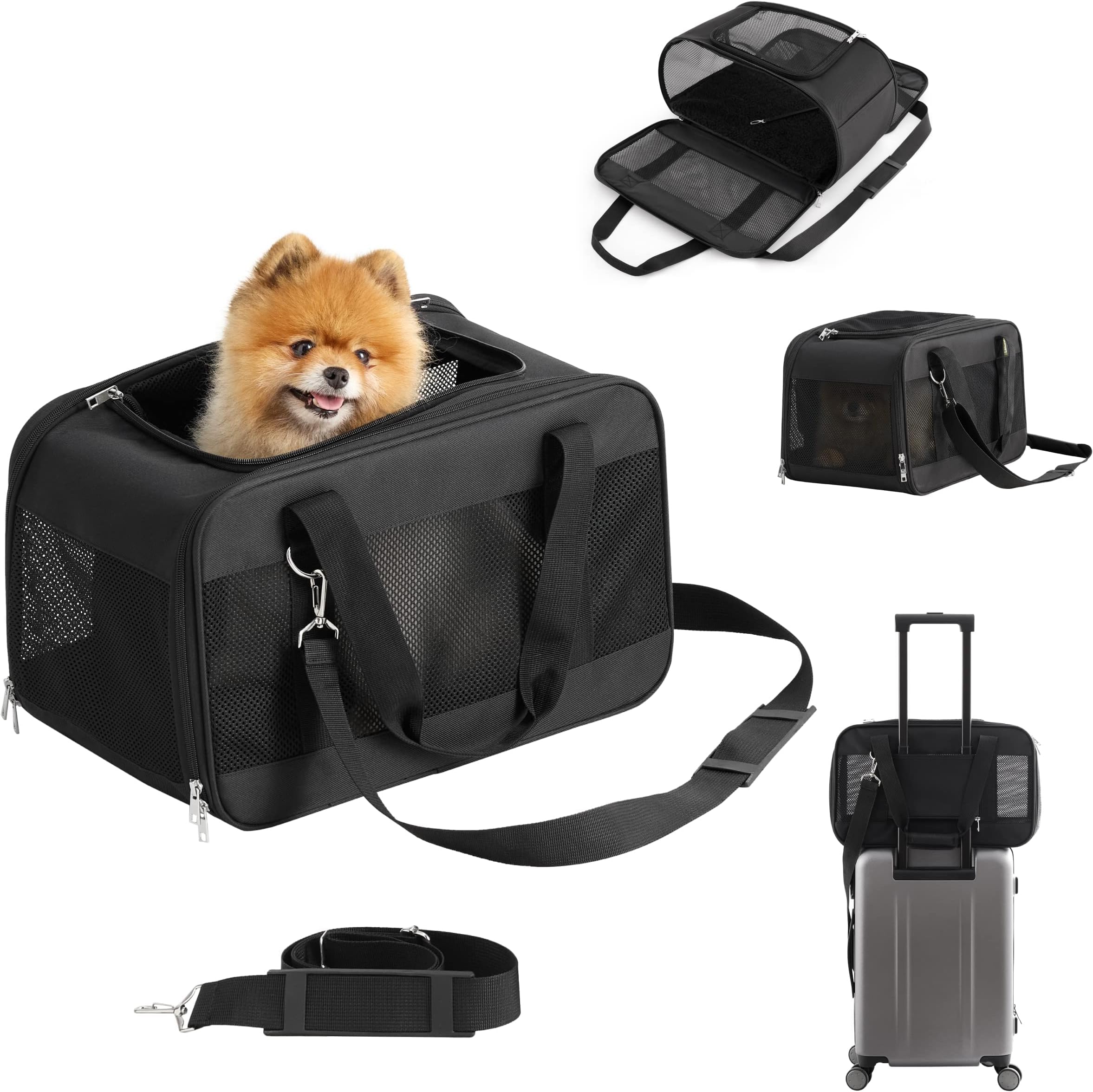 Amazon.com : Pet Carrier, Dog Carrier, Cat Carrier for Small to Medium ...