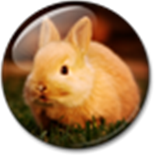 Cute Animals Live Wallpaper - App on Amazon Appstore