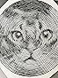 Spiroglyphics: Animals: Amazon.co.uk: Pavitte, Thomas: 9781781576489: Books