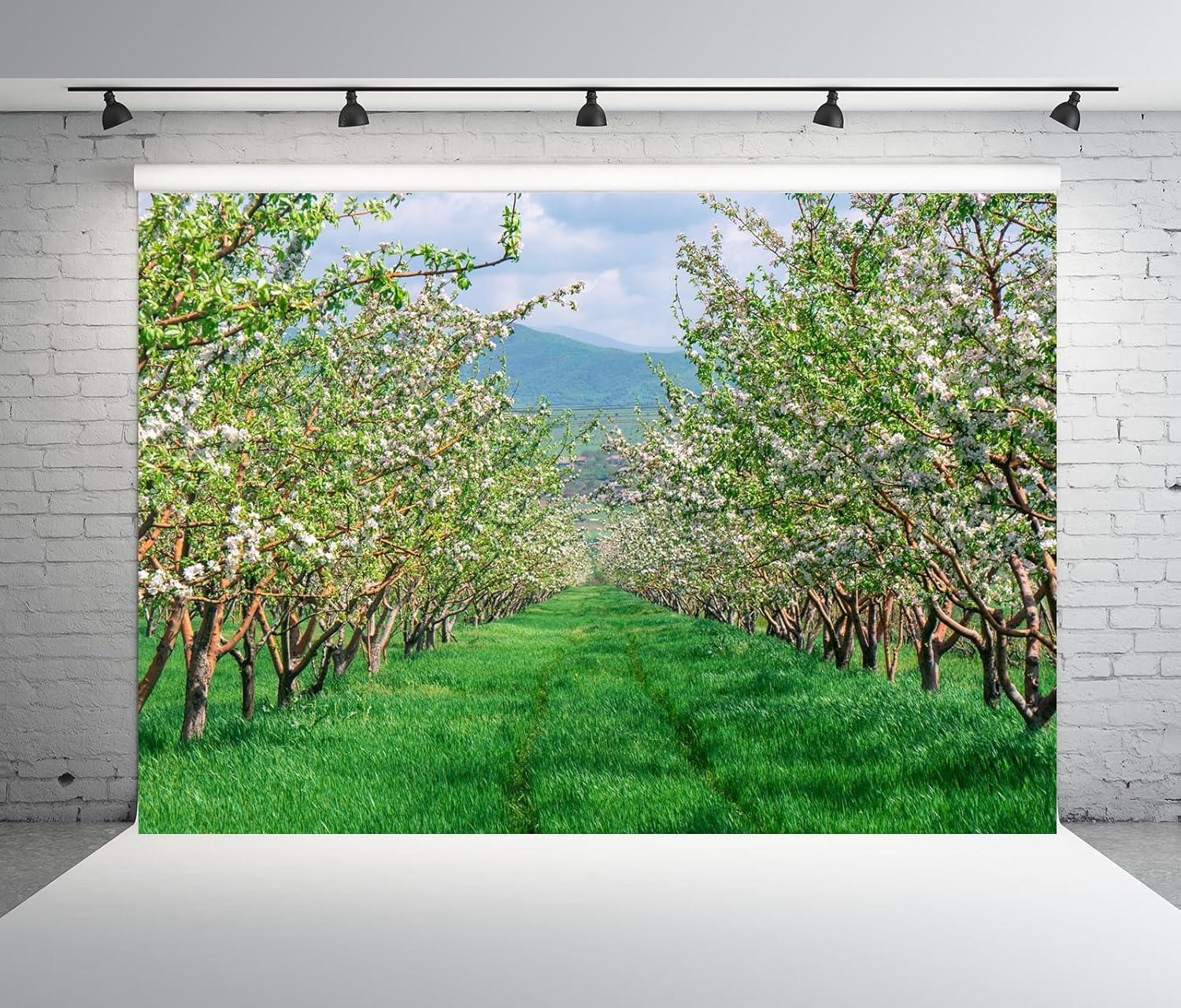 Amazon.com : BELECO 5x3ft Fabric Spring Apple Orchard Landscape ...