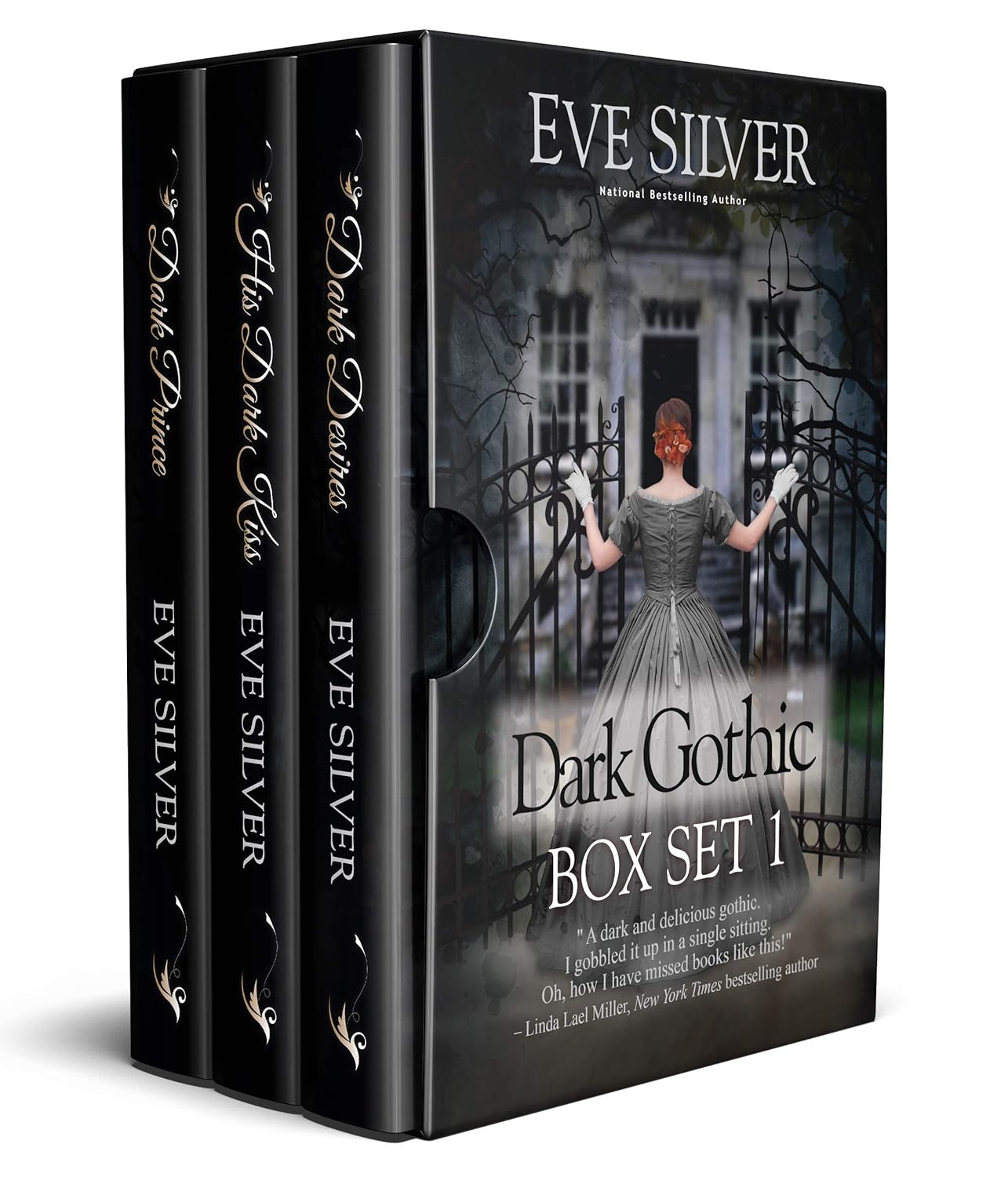 Dark Gothic Box Set 1: Historical Gothic Mystery Romance - Kindle ...