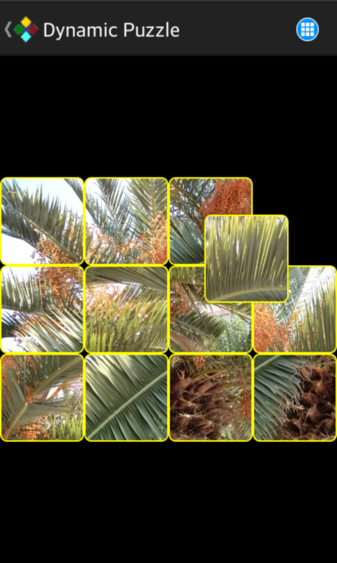 Dynamic Puzzle - App on the Amazon Appstore