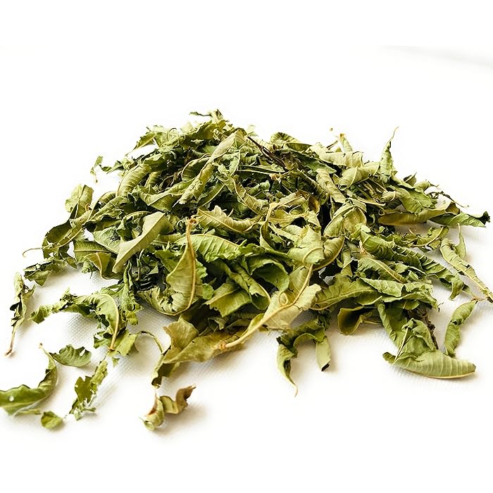 Buy Vervain Herb |By PATCHFACTRICO| Greek Lemon Verbena Dried Leaves ...