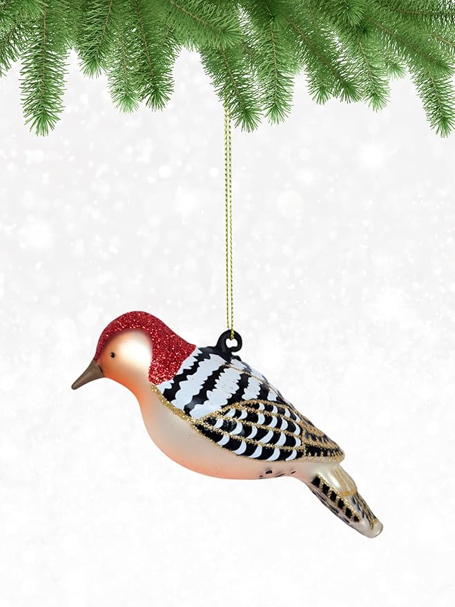 Amazon.com: Cobane Studio LLC COBANEC391 Red Bellied Woodpecker Ornament : Home & Kitchen
