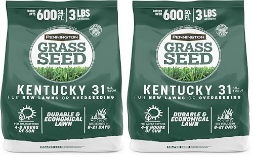 Scotts Vs Pennington Grass Seed