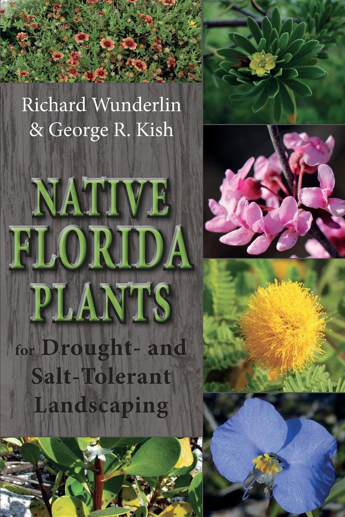 Florida Salt Tolerant Plants Using Native Salt Tolerant Plants To