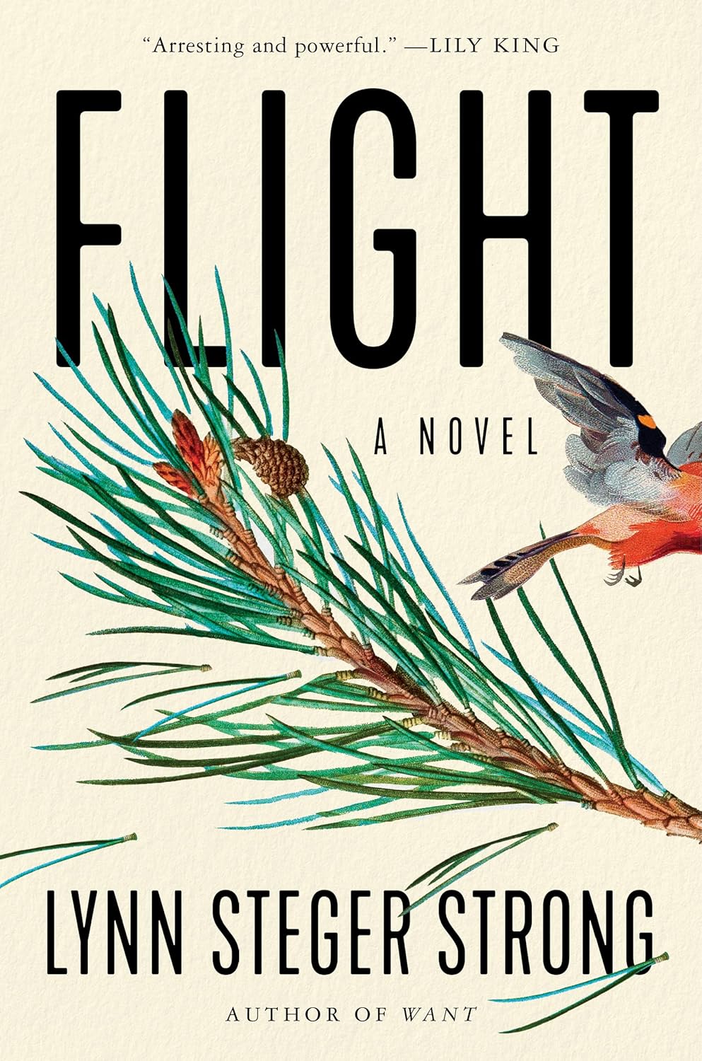 Buy Flight: A Novel Book Online at Low Prices in India | Flight: A ...