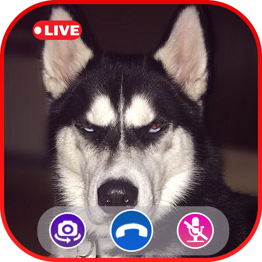 Call Video Wolf Simulator - Prank Call Apps - App on Amazon Appstore
