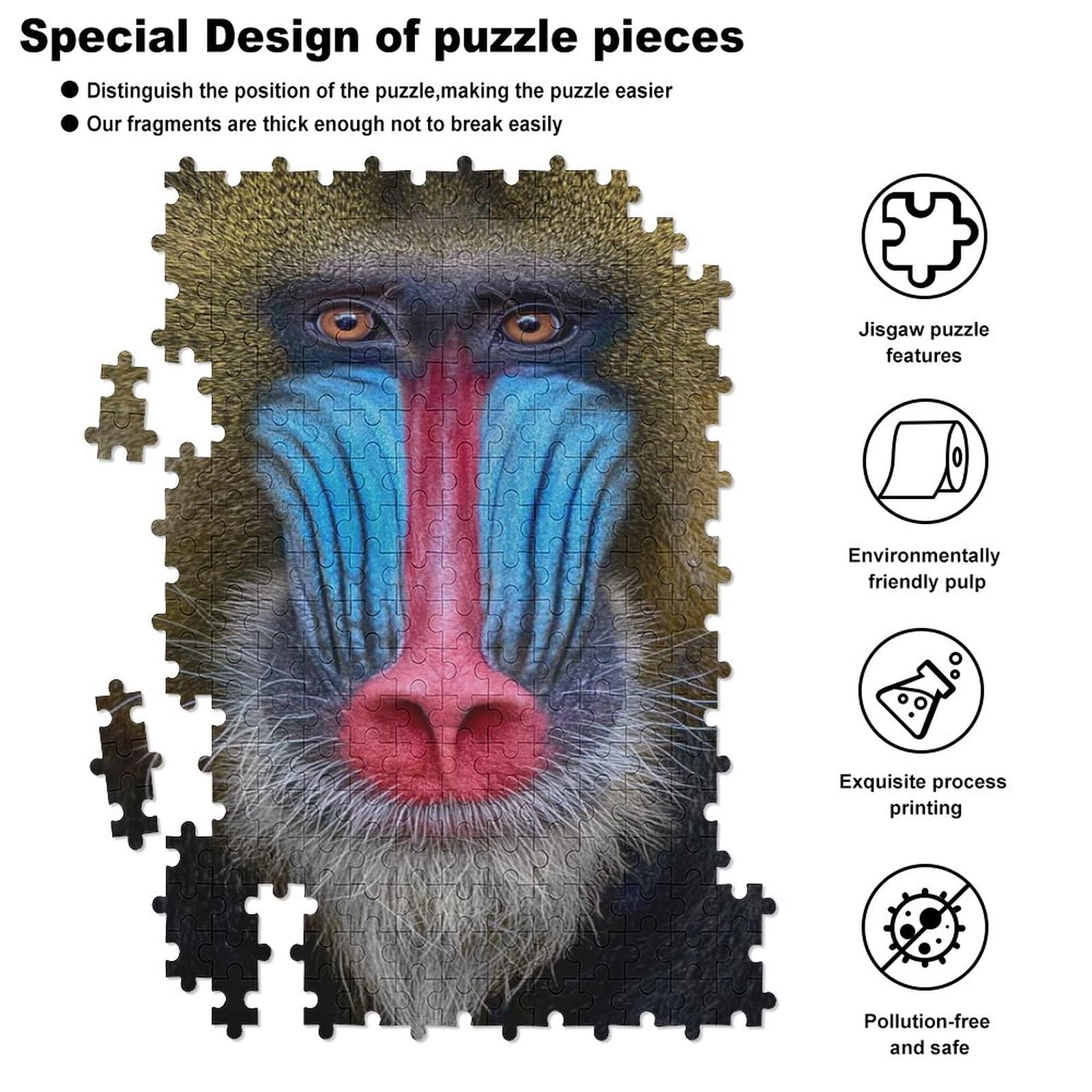 Baboon Image Processing