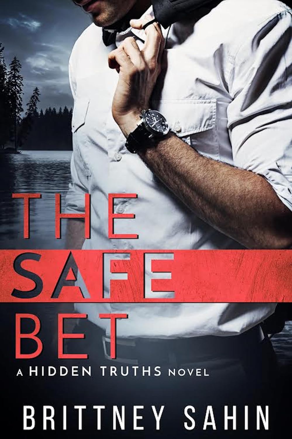 Amazon.com: The Safe Bet (Hidden Truths Book 1) eBook : Sahin, Brittney ...