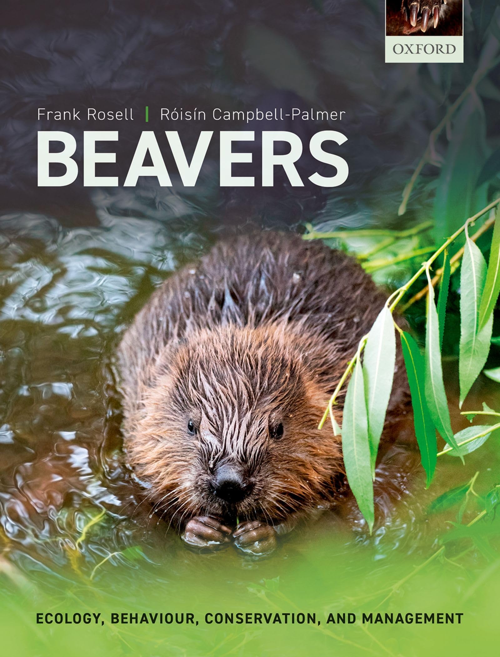 Beavers: Ecology, Behaviour, Conservation, and Management: Rosell ...