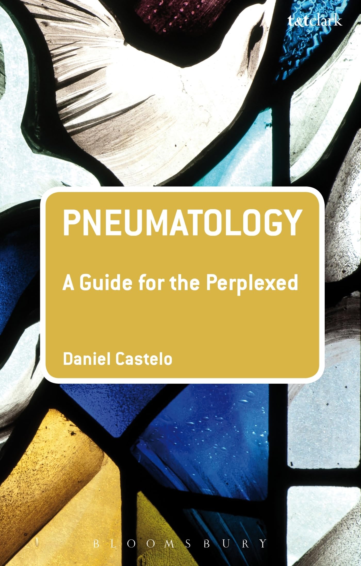 Pneumatology: A Guide for the Perplexed (Guides for the Perplexed ...
