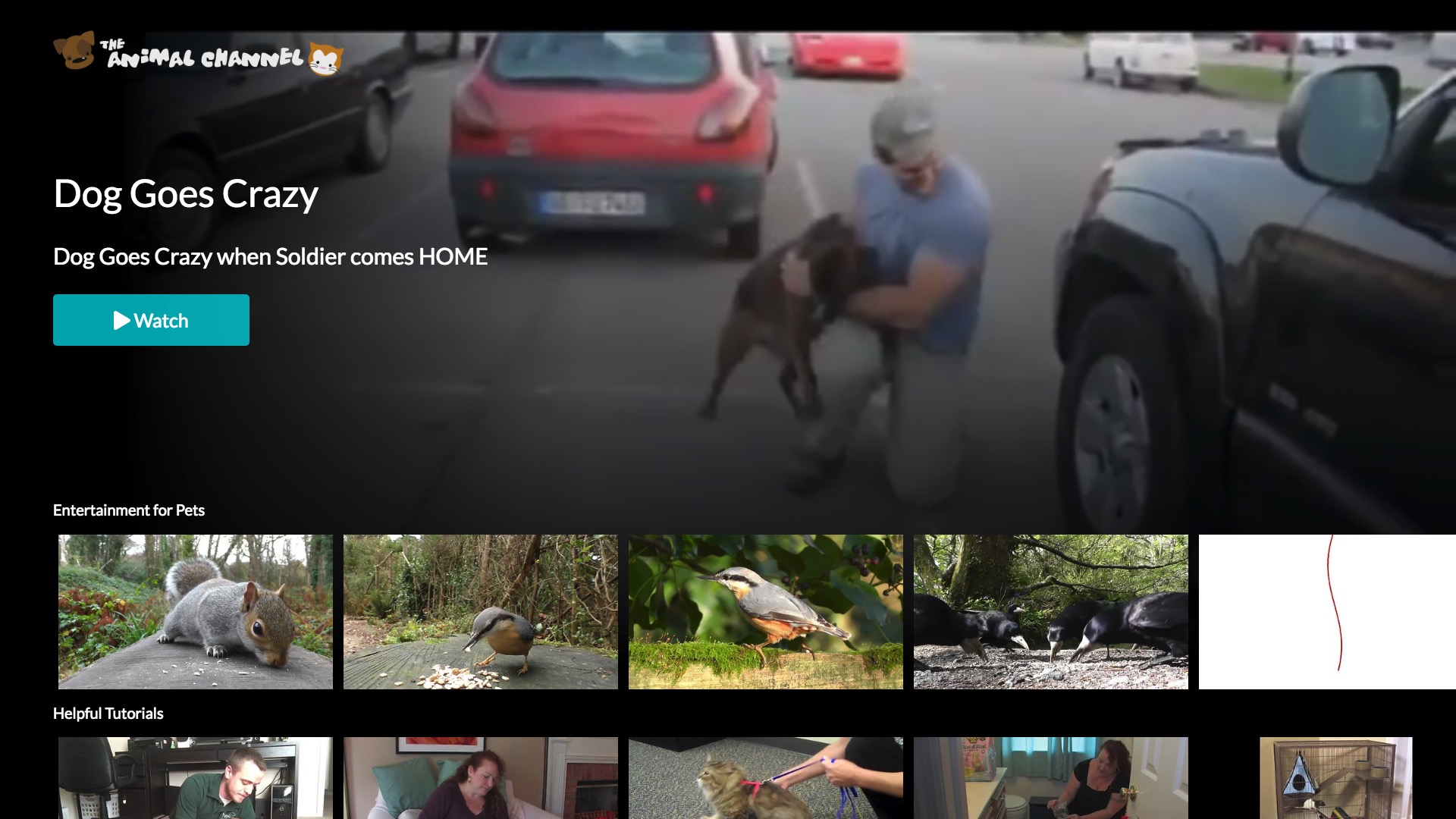 The Animal Channel - App on Amazon Appstore