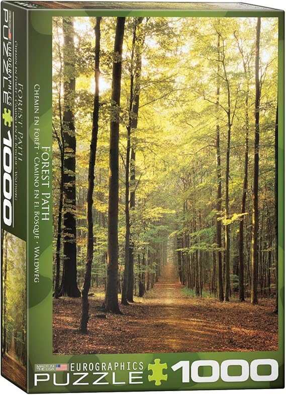 Amazon.com: Eurographics Forest Path 1000-Piece Puzzle : Toys & Games