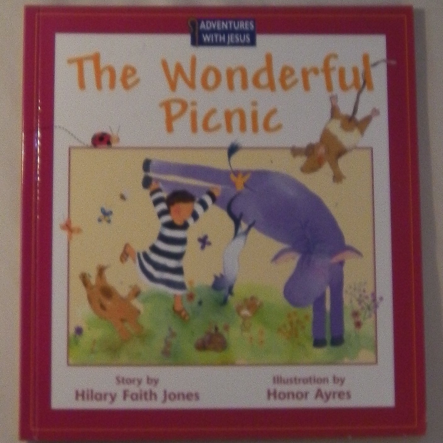 The Wonderful Picnic (Adventures with Jesus): Hilary Faith Jones ...