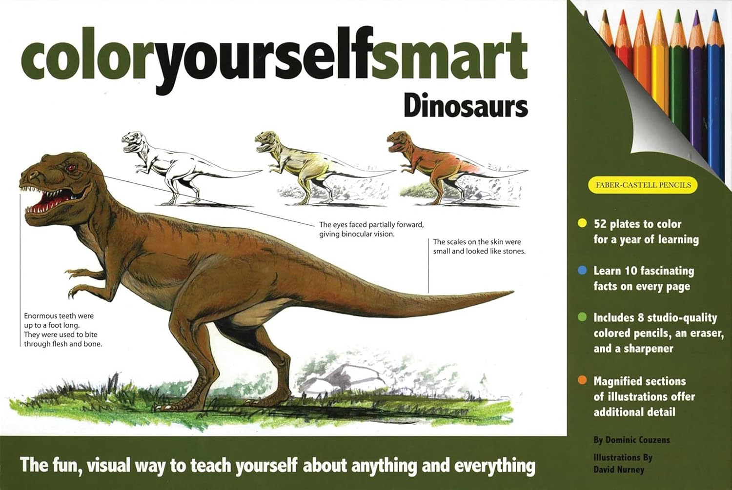 Amazon.com: Color Yourself Smart: Dinosaurs: 9781607105732: Couzens ...