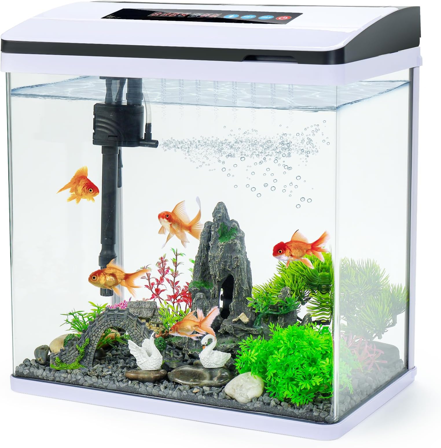 Amazon.com : Bluecoco 6 Gal Aquarium Fish Tank Starter Kit with ...
