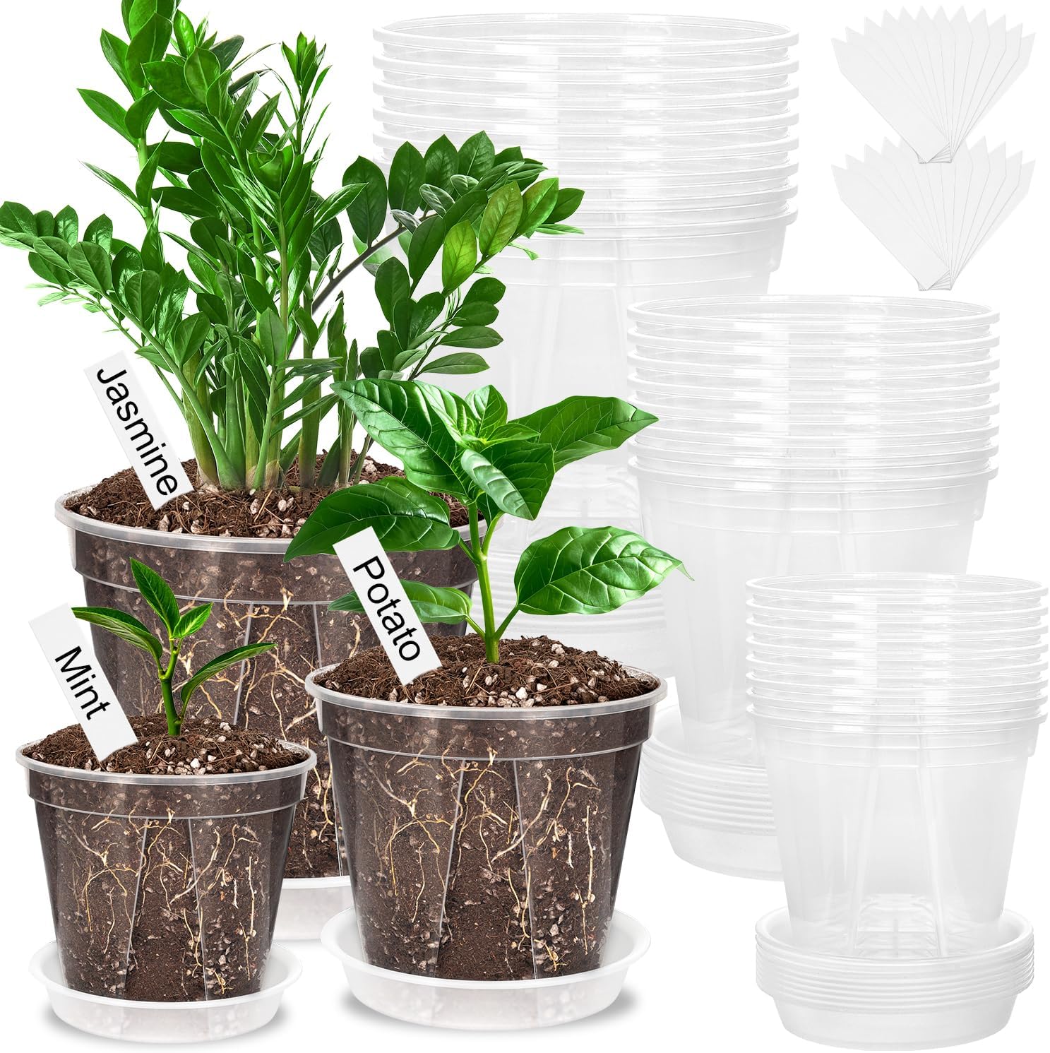 Amazon.com: SUNPRO Clear Nursery Pots for Plants - 10 Pack Transparent ...