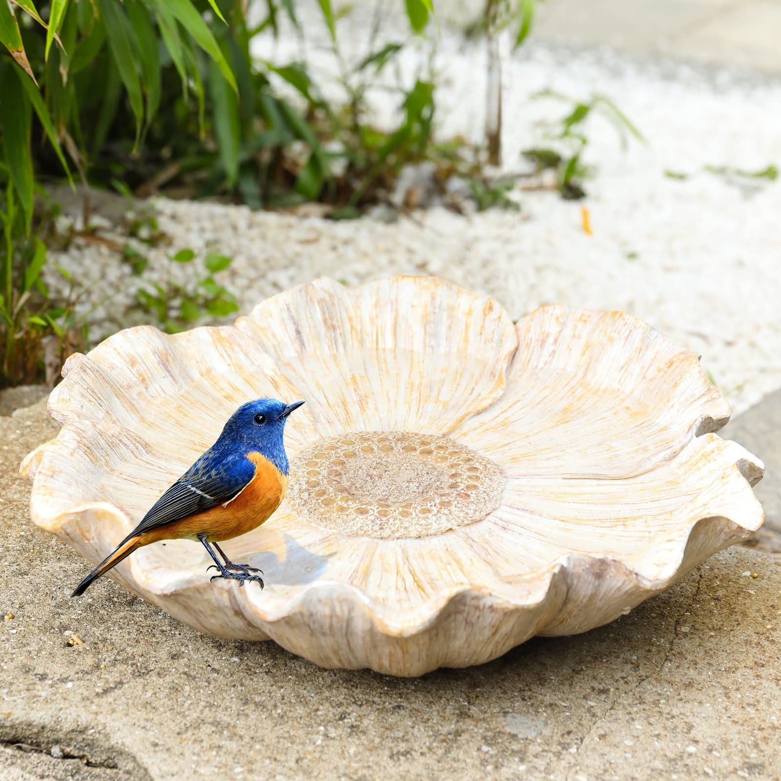 Snapklik.com : Bird Baths For Outdoors, Antique Outdoor Garden Bird ...