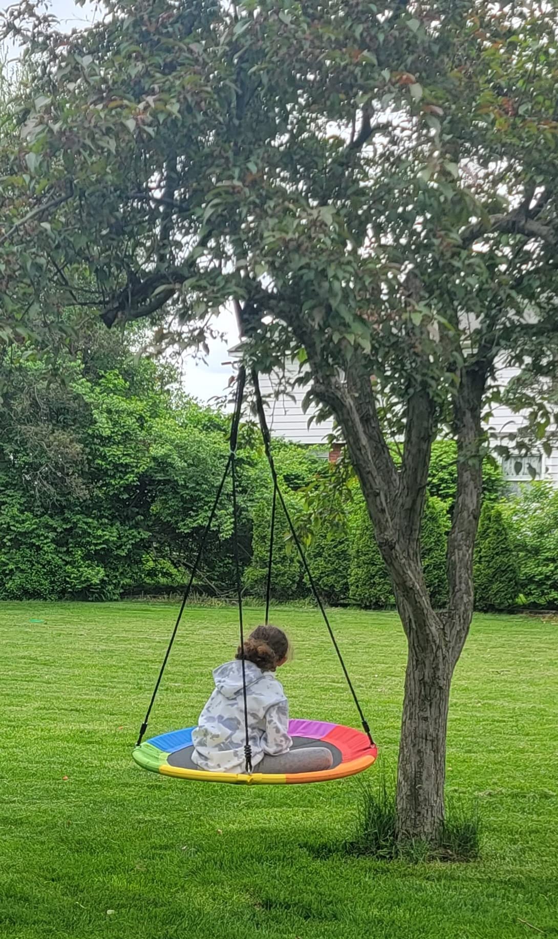 $6/mo - Finance Tree Swing Outdoor Rope Swing for Kids Playground Swing ...