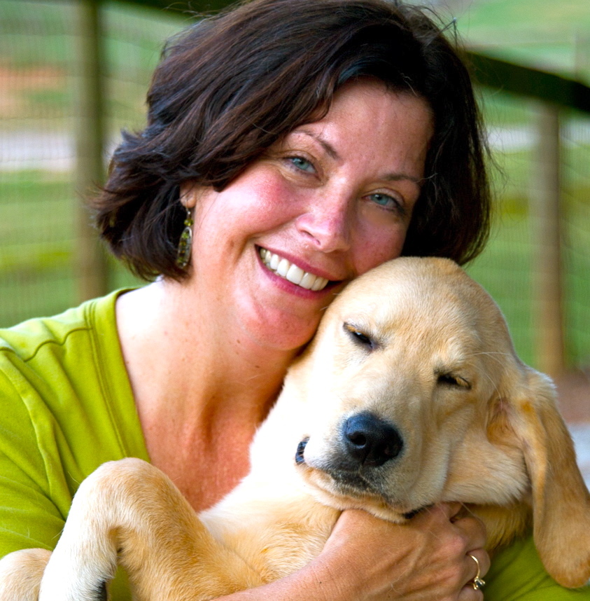 Through a Dog's Eyes: Understanding Our Dogs by Understanding How They ...