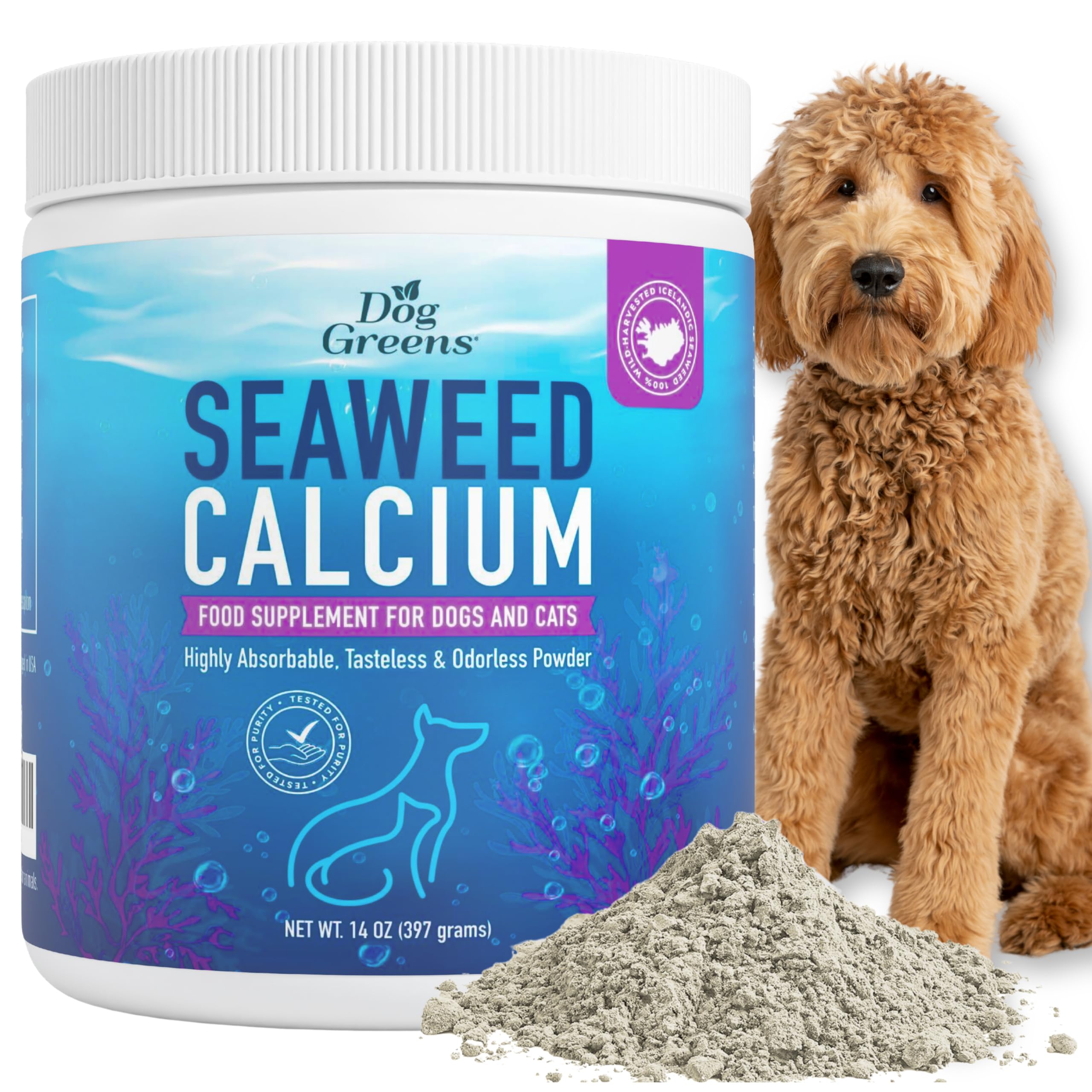 5 Best Calcium Supplement For Dogs | More Than Just Calcium Dust