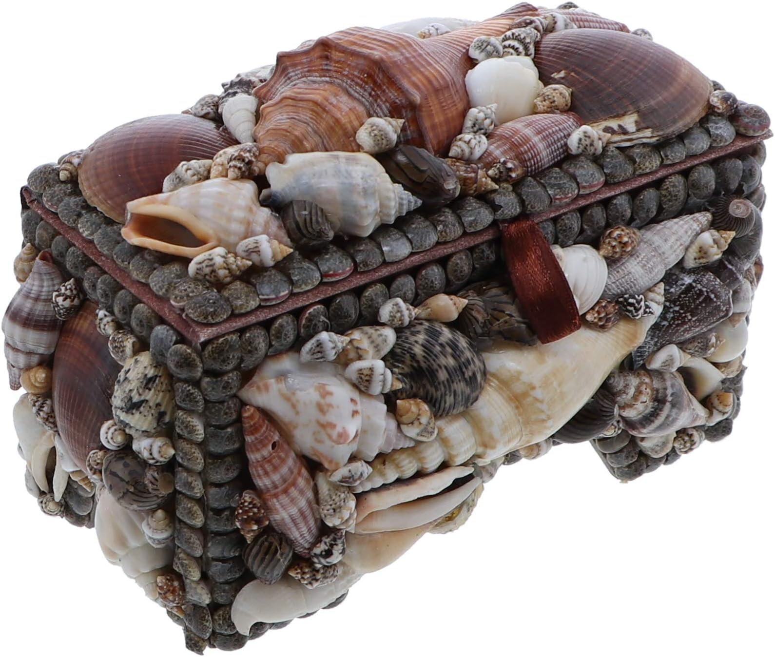 Amazon.com: Westman Works Gifts Real Natural Seashell Jewelry Trinket ...